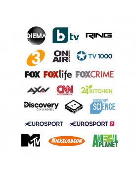 Pack Bulsatcom Décodeur ZHD-210 + Abonnement TV 12 Mois, 69 Chaines